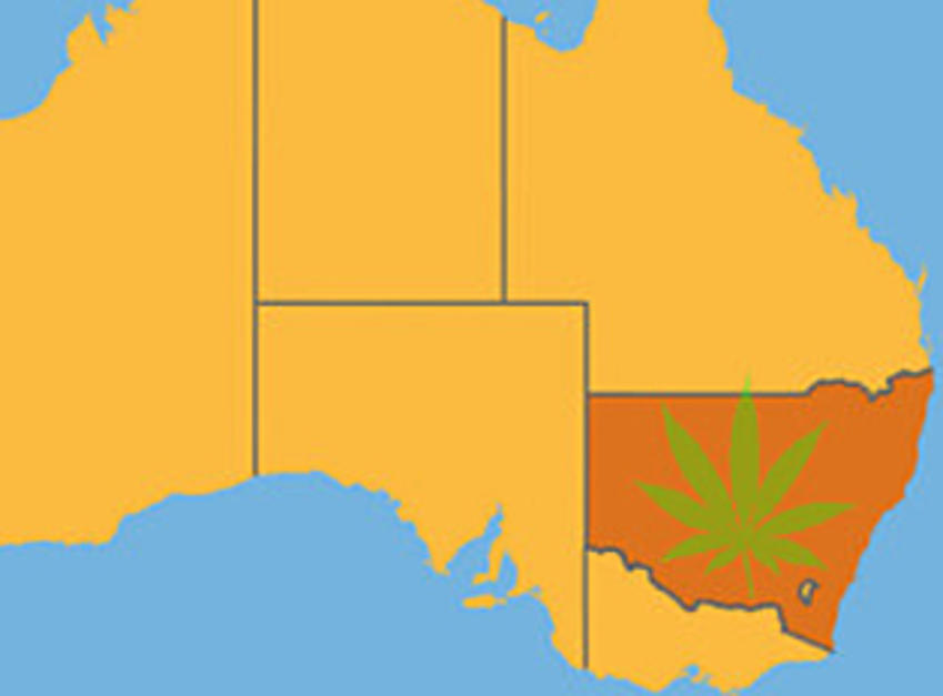 Study: Australian Marijuana Strongest in the World