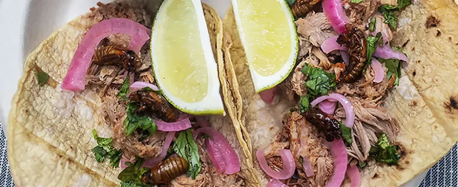 CelebStoner.com: Marijuana News, Music, Movies, TV, Sports, Politics ...