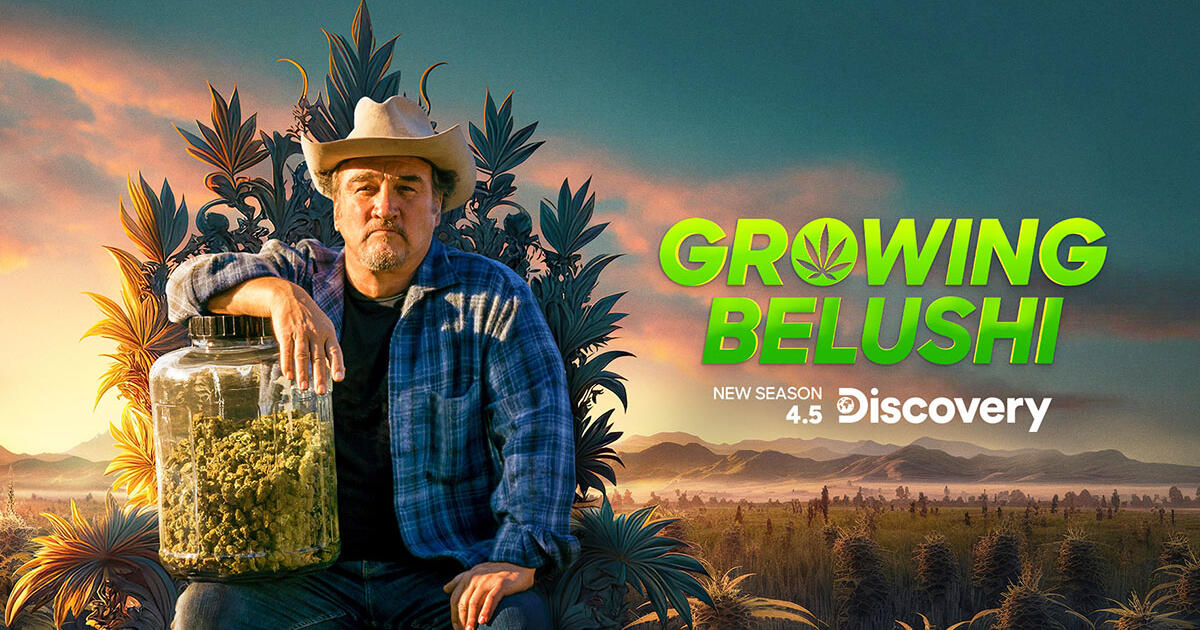 Jim Belushi Excited About Season 3 of 'Growing Belushi'