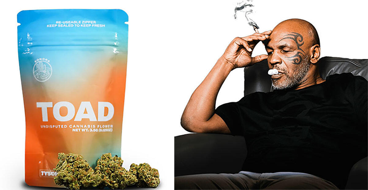 Tyson 2.0 Continues to Grow, Despite Former Champ's Troubled Past