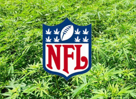 13 NFL Stoners Suspended for Start of 2013 Season